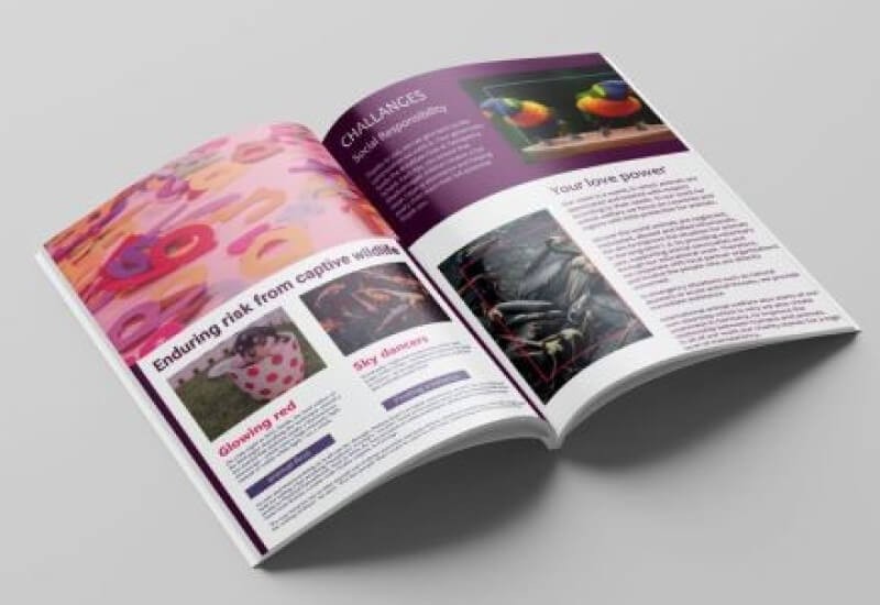 Custom Printed Booklets - Personalised Color Booklet Printing Online ...