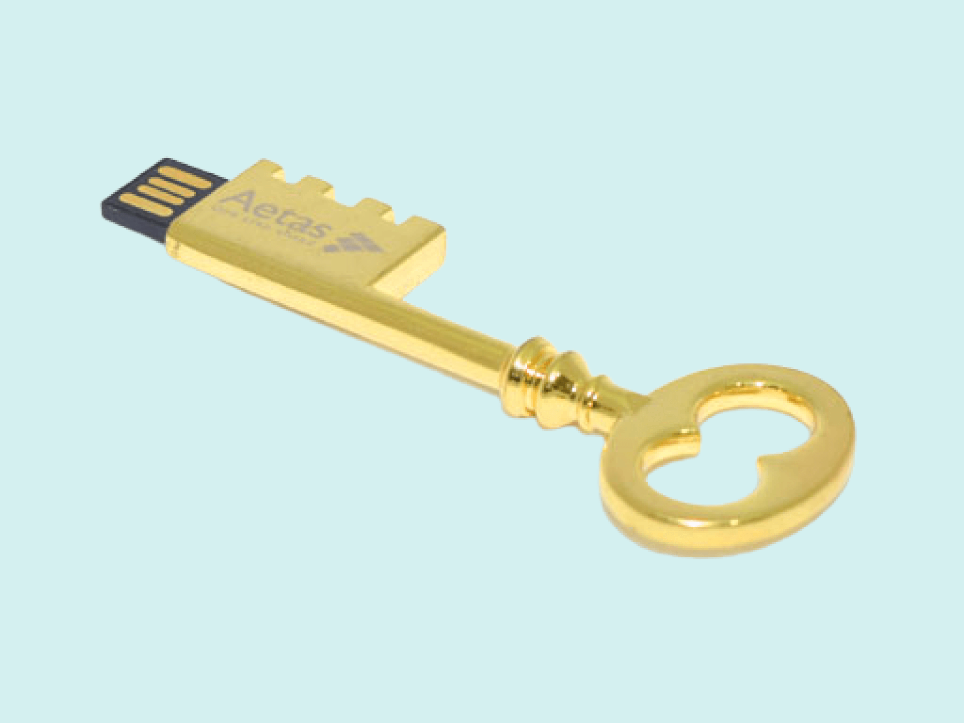 Skeleton Key Usb Drive