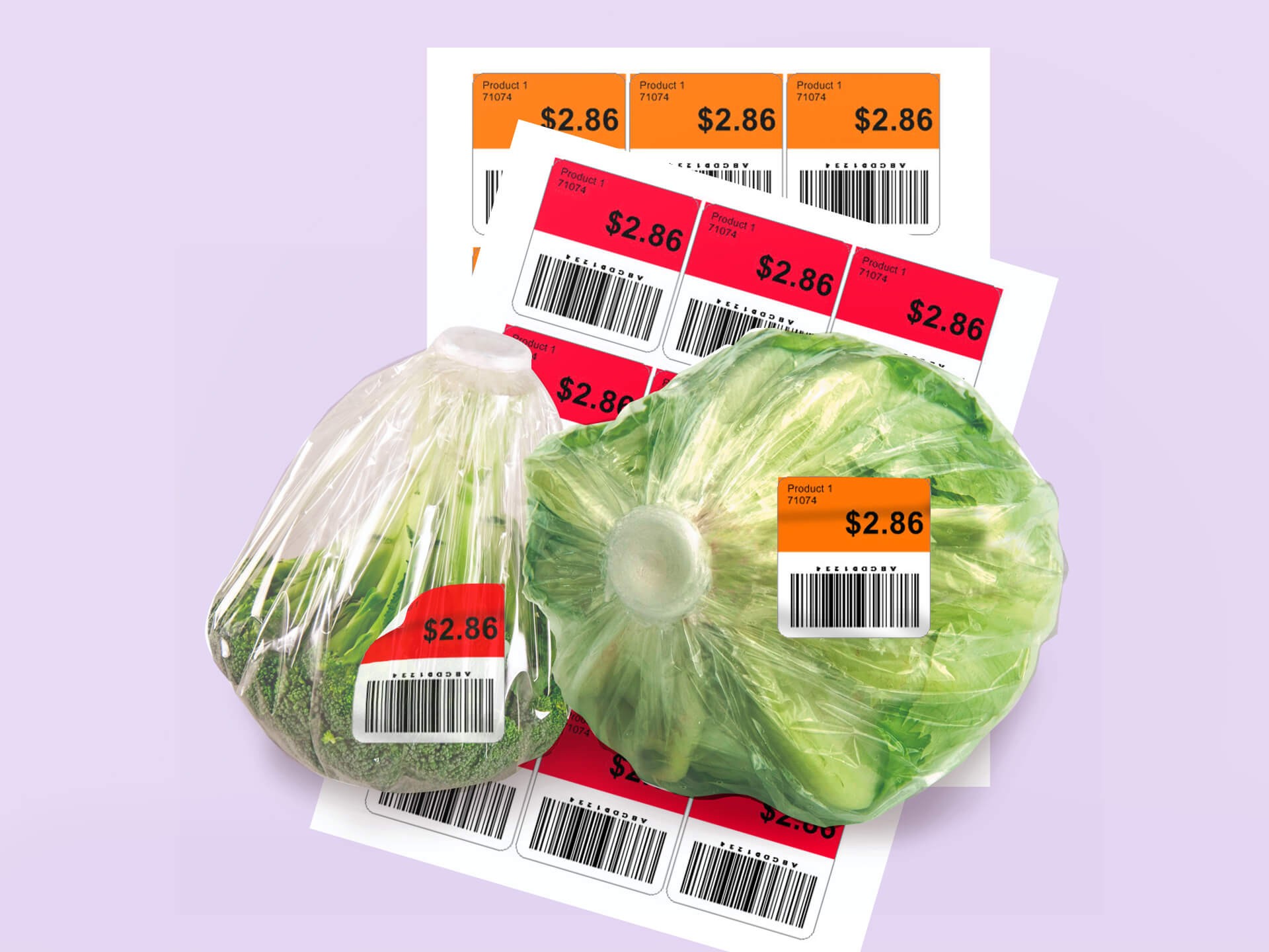 Price Labels | Design Custom Packaging Labels Online | Printo