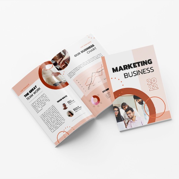 Custom Color Booklet Printing Printo