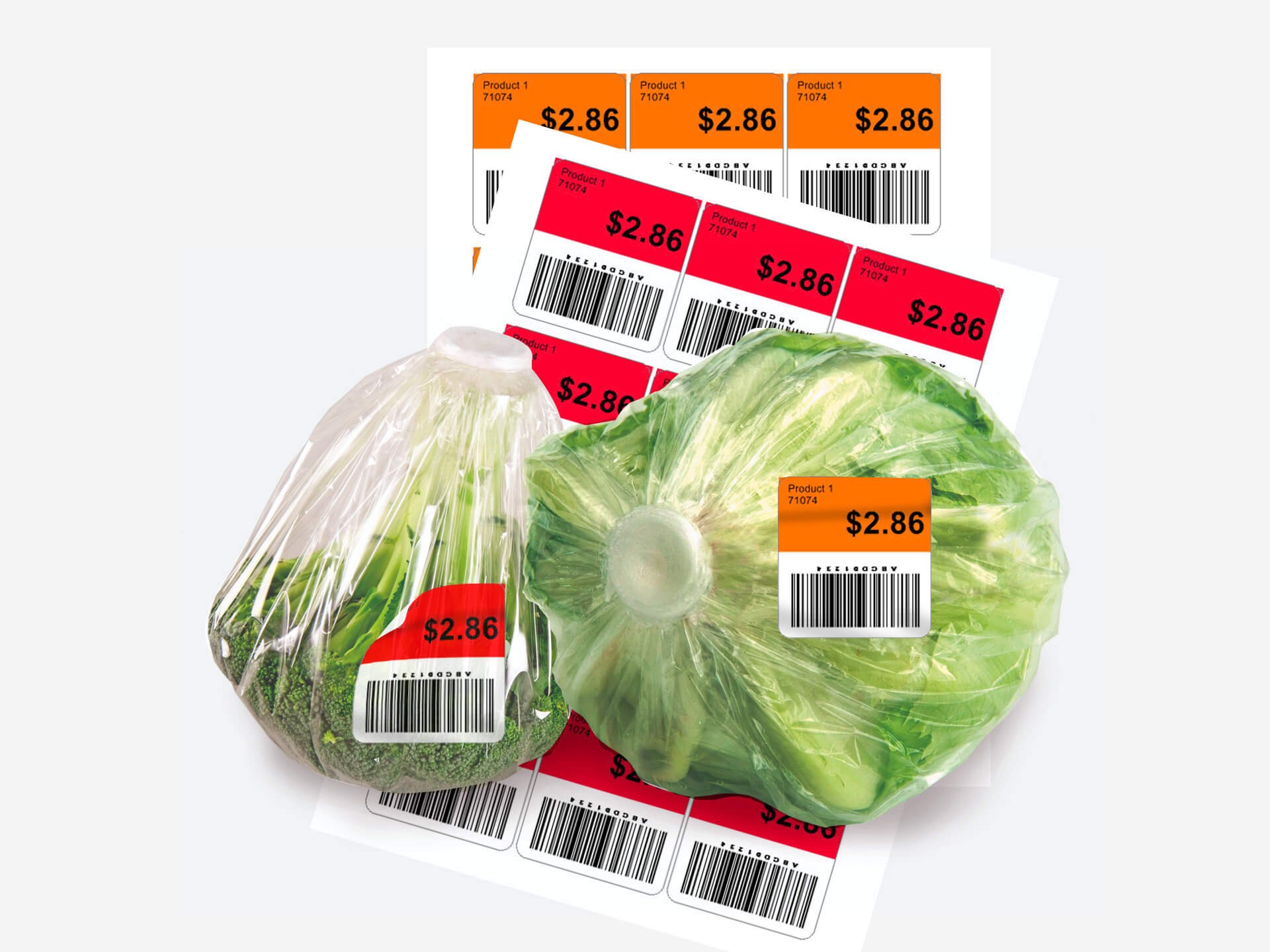 Order Custom Printed Packaging Label Online | Printo.in